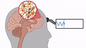 What Are Brain Waves?j on Make a GIF