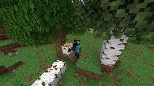 Every Minecraft Spring to Life feature is only found in new chunks, except one