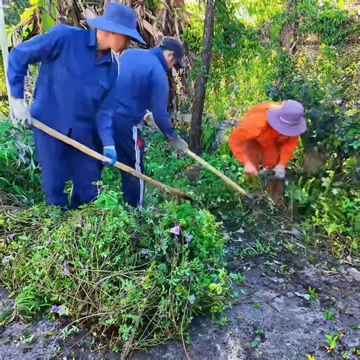 100 Hours To Transform This $1 Million Mansion From Jungle Into A Masterpiece P2 #cleanup #cleaning #cleaningtheoldhouse #cleaningmotivation | Clean The Old House