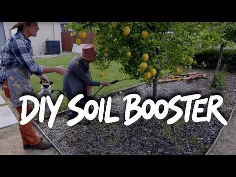 Easy DIY Soil Booster