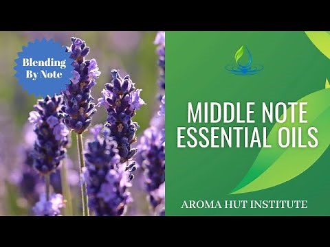 Middle Note Essential Oils | Perfume Notes Explained