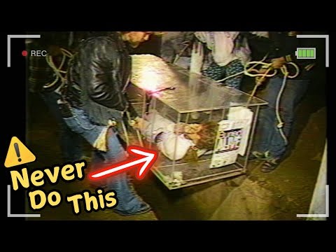 Horrifying Accident Caught Live on TV Show