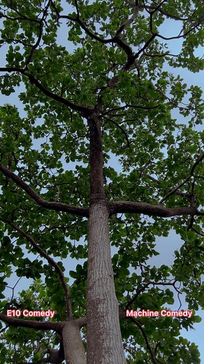 3.7K views · 63 reactions | Na only God dey run am | Machine Comedy | Facebook