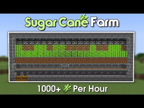 Minecraft Easy Automatic Sugar Cane Farm - Tutorial 1.21 | 1000+ Per Hour