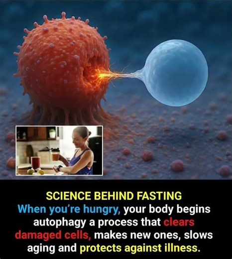 Science behind fasting | Fasting benefits | You need to know