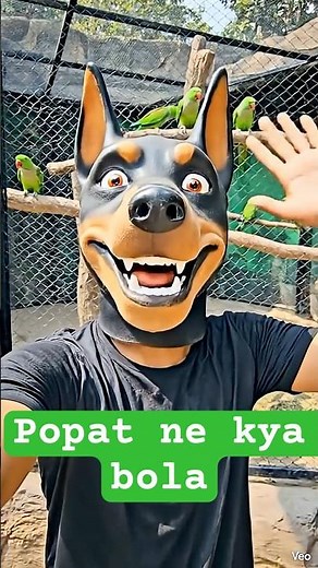 Monkey Copied Dogesh! 😂 Zoo Mein Hungama! #shorts #ytshorts #dogeshbhai #ai #zoo