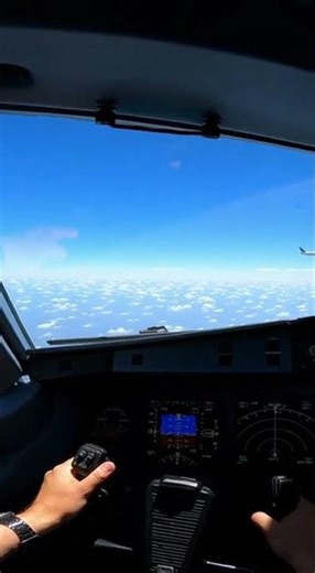 Wake Turbulence Shock Mid-Cruise