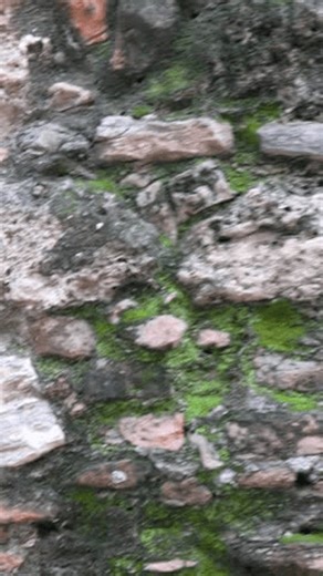 clip-4009923195-close-up-old-stone-brick-wall-texture-moss