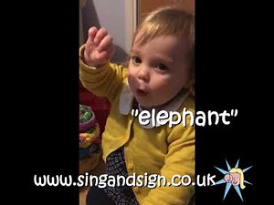 Sing and Sign in Action - Animals