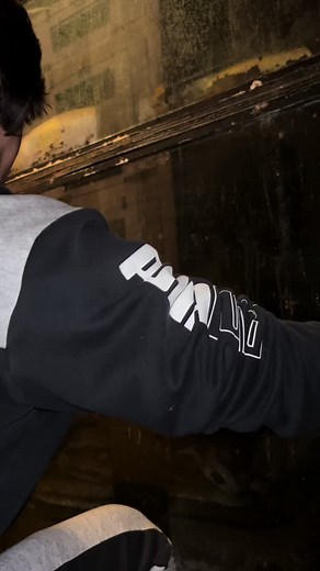 optimuspythons on TikTok