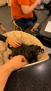 I don't think he'll get an appointment anytime soon...🕰️ 😭 | Furry Tails