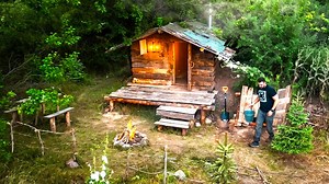 Build a log hut by hand using bushcraft techniques. | Alan Bushcraft