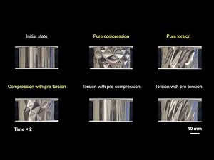 Buckling pattern of a cylindrical shell under a single load or combined loads
