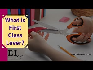 What is a First Class Lever? - Example With Explanation - The Case Of Scissors