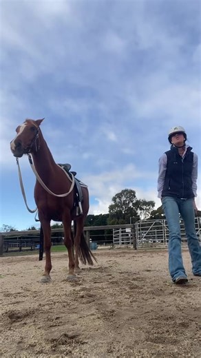 Ken Strewth oooa goooo gaaa gooo goo haha o@hitchleyandharrow @Circle L Australia @⃟ #crematoryoperator #reamadan2025 #graanwostle #fyp #mytype #australia