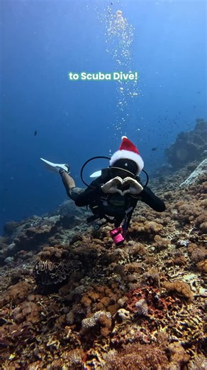 Legend Diving 🔱 on Instagram: "Let's celebrate Xmas from the deep with us! 🎅🏻🎄✨ #christmas #santaclaus #merrychristmas #merryxmas #xmas #festiveseason #happyholiday #underwater #christmasunderwater #scubadivingcontent #scubadiving #diverlife #divercontent"