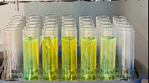 Green fluorescent compound is separated in automated machine. test tube fraction collection technique of column chromatography. Education and industrial concept.