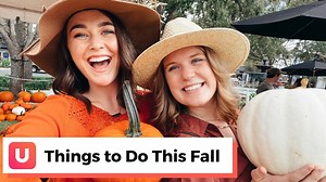 19K views · 45 reactions | It's fall, y'all!   https://www.unation.com/stuff-to-do/fall-activities-in-tampa-bay/ | Stuff to Do in Tampa Bay | Facebook