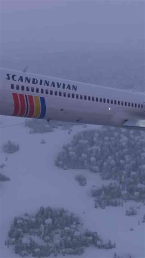 Aircraft Engine Failure! Terrifying Mid-Air Emergency