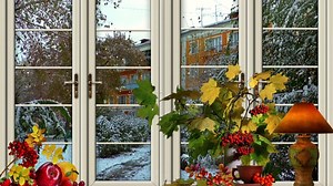 Winter, Window, Snow. Free Stock Video