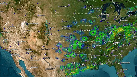 Birdwatchers, fall 2025 bird migration is record-setting. See maps, birds migrating now