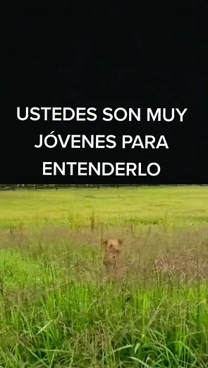 #dúo con @camilasibe #Windows #microsoft #excel #ingenieriadesistemas #informatica #gamer #videojuegos #educacion #office #gamer #retro #duckhunt #nes #nintendo
