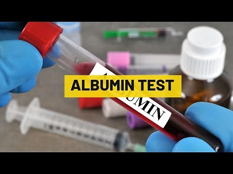 Albumin Test | My Lab Solution
