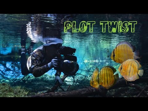 Wild Discus Secrets with Oliver Lucanus from Below Water