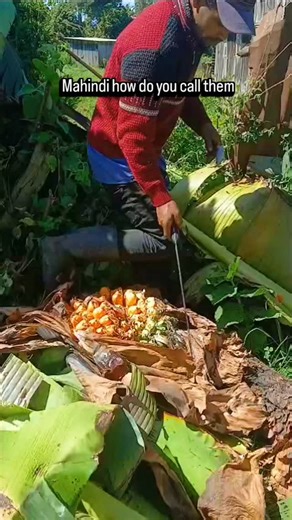 CurvyKathyAfrica🥰🍑🥵💦 on Instagram: "Wee I used to think this thing is sweet untill I ate them #followers #everyone"