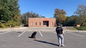 17 reactions | Anubis recently finished his Two Week Board and Train...