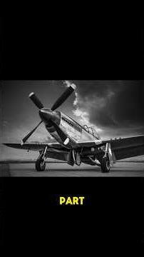 American Fighter P-51 Became Germany's Worst Nightmare #battlebytes #history #ww2history #ww2