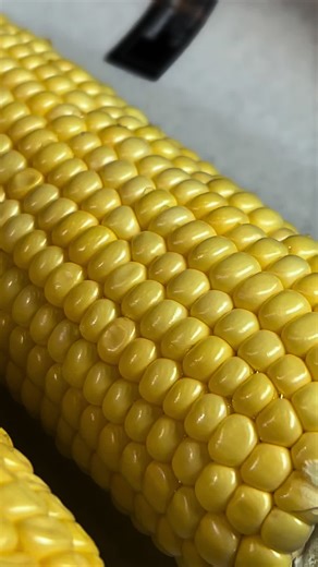 Eltek.Electronics TikTok'ta