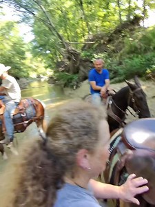 ON TOP OF EVERYTHING ELSE COPPERHEAD COMES OUT UNDER HER FOOT !!! Mules are PIPER , ALIBI , MOMONEY , GUS , JOKER AND WHODAT | Max Bishop