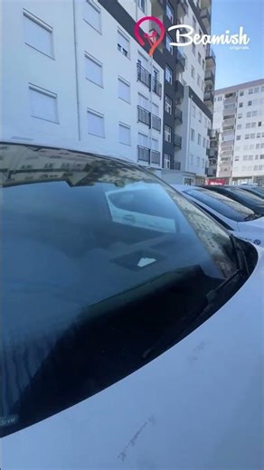 Windshield Cleaning Hack #simple #windshield #cleaning #trick