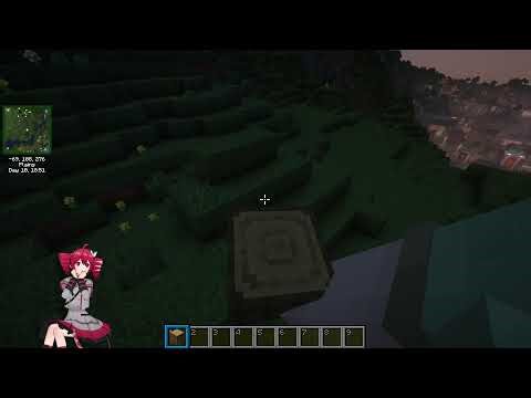 just working on my 5 year old minecraft village