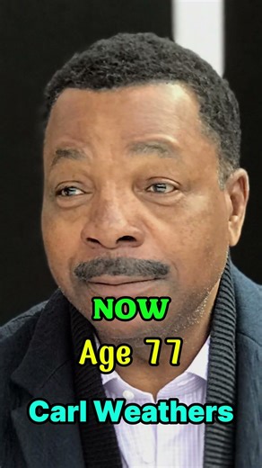 Predator (1987 - 2024) Cast Then and Now