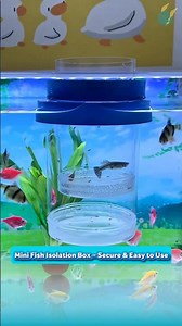 Mini Fish Isolation Box – Secure & Easy to Use