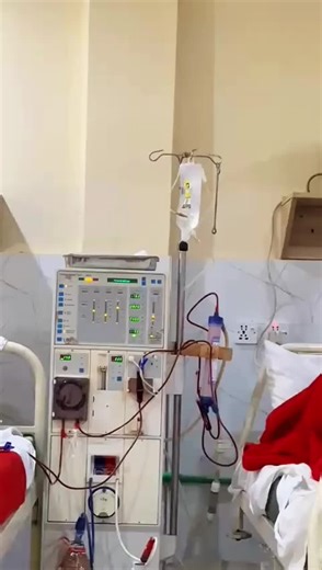 Understanding Kidney Health: A Guide for Dialysis Patients