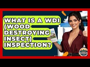 What Is A WDI (Wood Destroying Insect) Inspection? - Home Investing Experts
