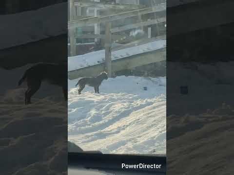 5 month running , trapped on 0 degree weather.