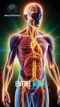 What Really Happens Inside Your Body When You Eat an Apple 🍎 | health world |