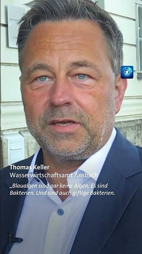 Blaualgen-Plage sorgt für Badeverbot #Blaualge #Badesee #Nachrichten #tagesschau #bayern