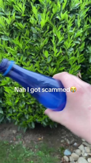 Experiencing a Scam: My Saratoga Water Story