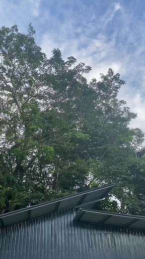 Building a Home with Metal Cladding: A Step-by-Step Guide