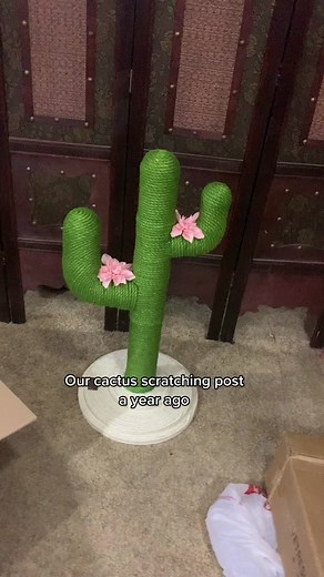 DIY Cactus Scratching Post Re-Wrapping for Cats
