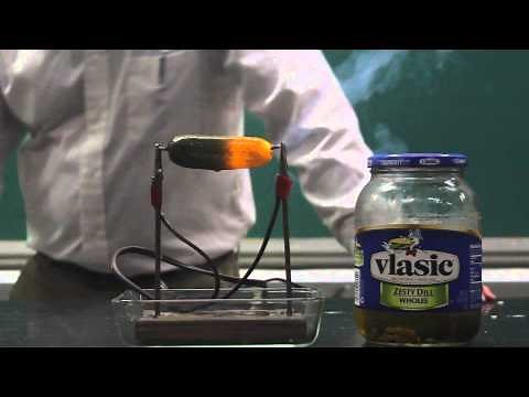 Electric Pickle Demo