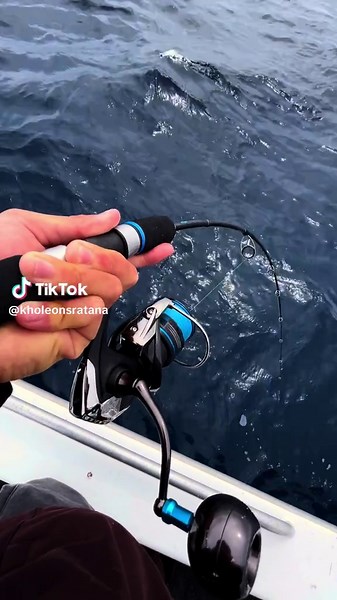 Bit of a Samson fish kinda day @SALTY DAZE #busslton #wa #fishing #deep #1millionviews #views #quility #4k #samson #ocean #fyp #fish