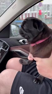 27K views · 930 reactions | How far can you go on natural nutrition 懶 #foryoupage #fyp #fypage #alena #asmr #home #lovemyself #skincare #naturalfood #reset #simplelife #alenayanchevskaya #foryou #skincareroutine #cosmetics #technology | Alena Yancheveskaya | Facebook