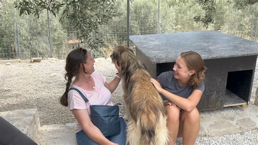 Lovely ladies are interesting to adopt Hector 😍 Οι υπέροχες κυρίες ενδιαφέρονται να υιοθετήσουν τον Έκτορα 😍 | Takis Shelter non profit organisation