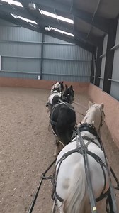 137K views · 1.6K reactions | Why the long tail Its really common in...